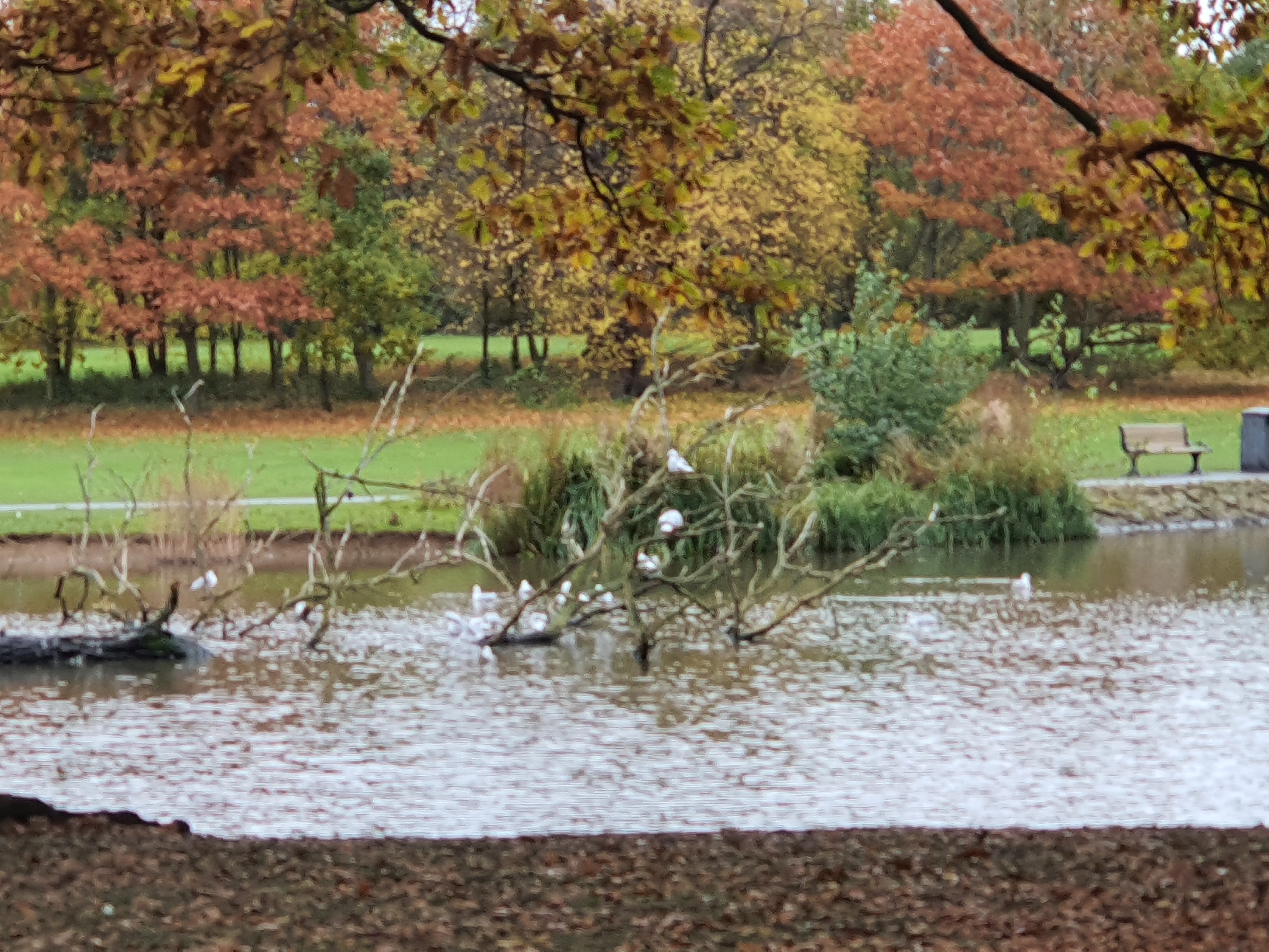 Beginners Acoustic Guitar - Marton In Cleveland